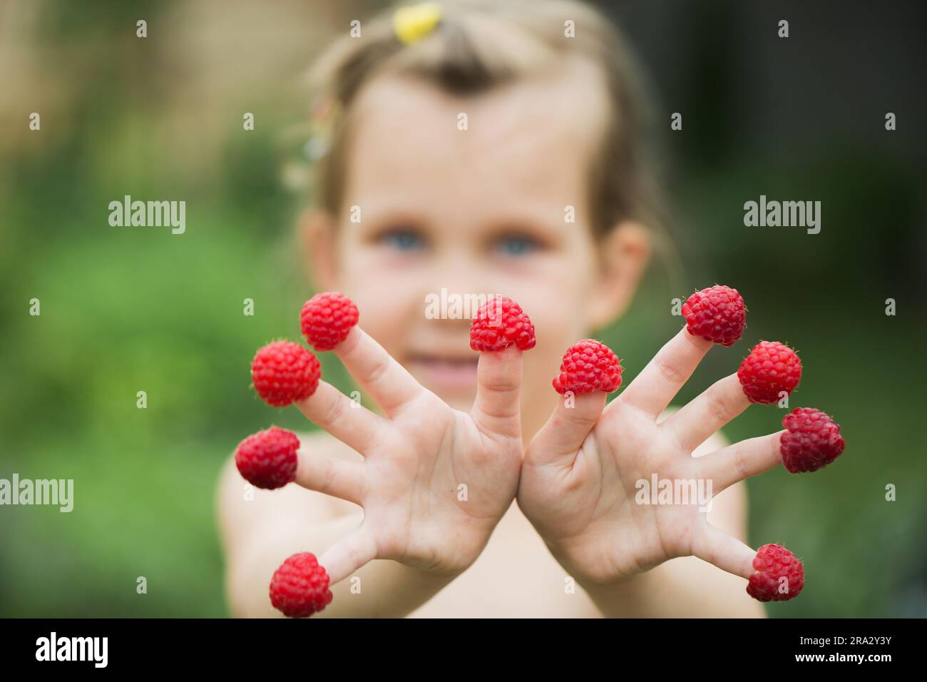 A little cheerful girl put a raspberry on her finger in the garden ...
