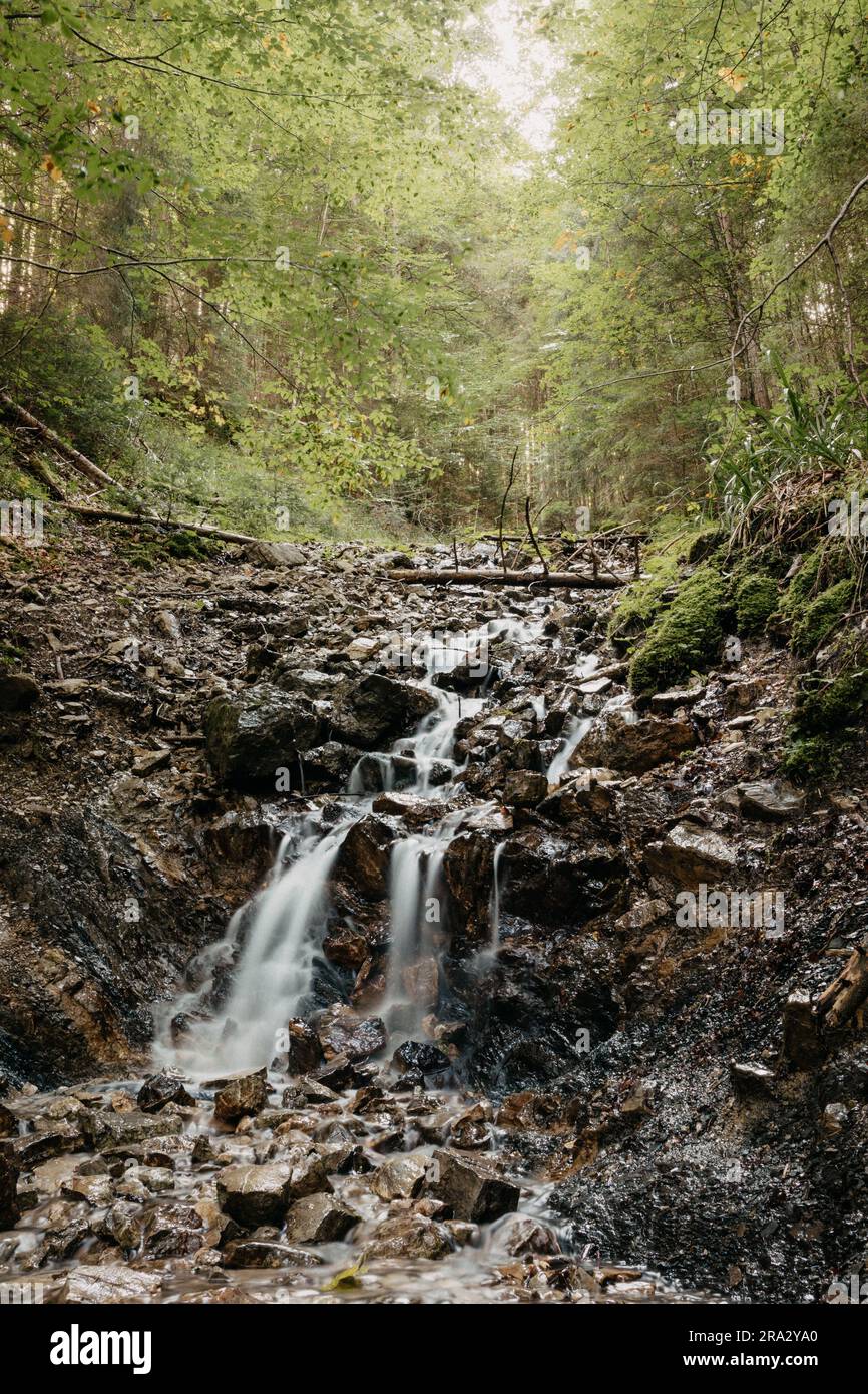 A cascading waterfall surrounded by lush greenery in a forest setting ...