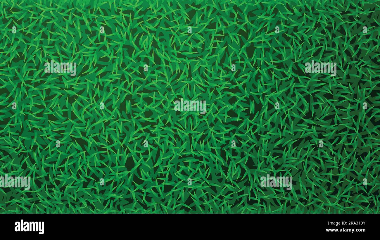 green color lawn grass backdrop top view Stock Vector Image & Art - Alamy