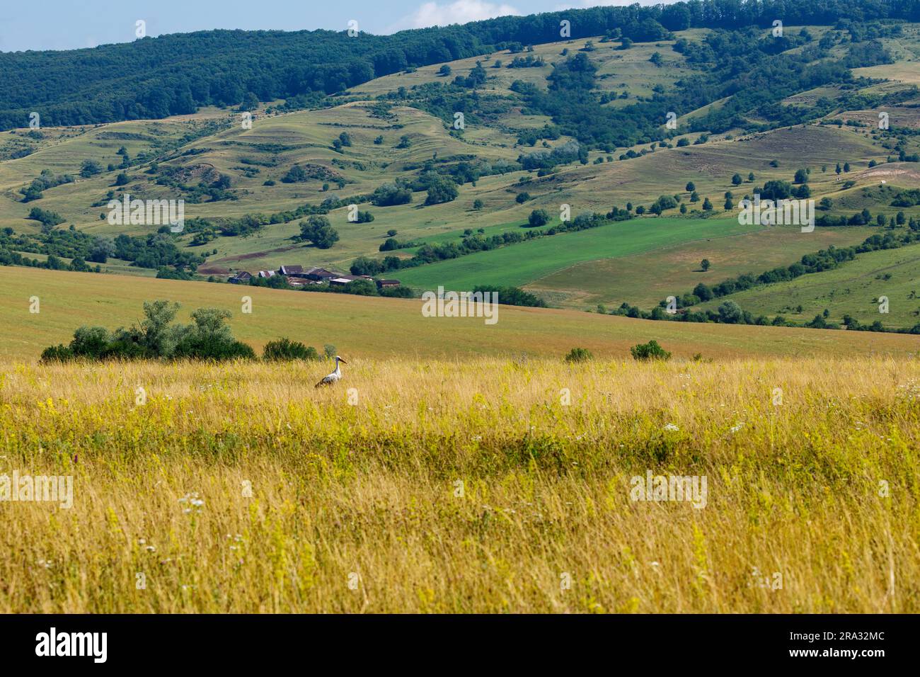 The Landscape at Viscri in Romania Stock Photo - Alamy