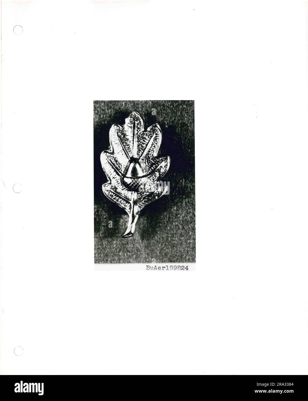 American military medical corps Cut Out Stock Images & Pictures - Alamy