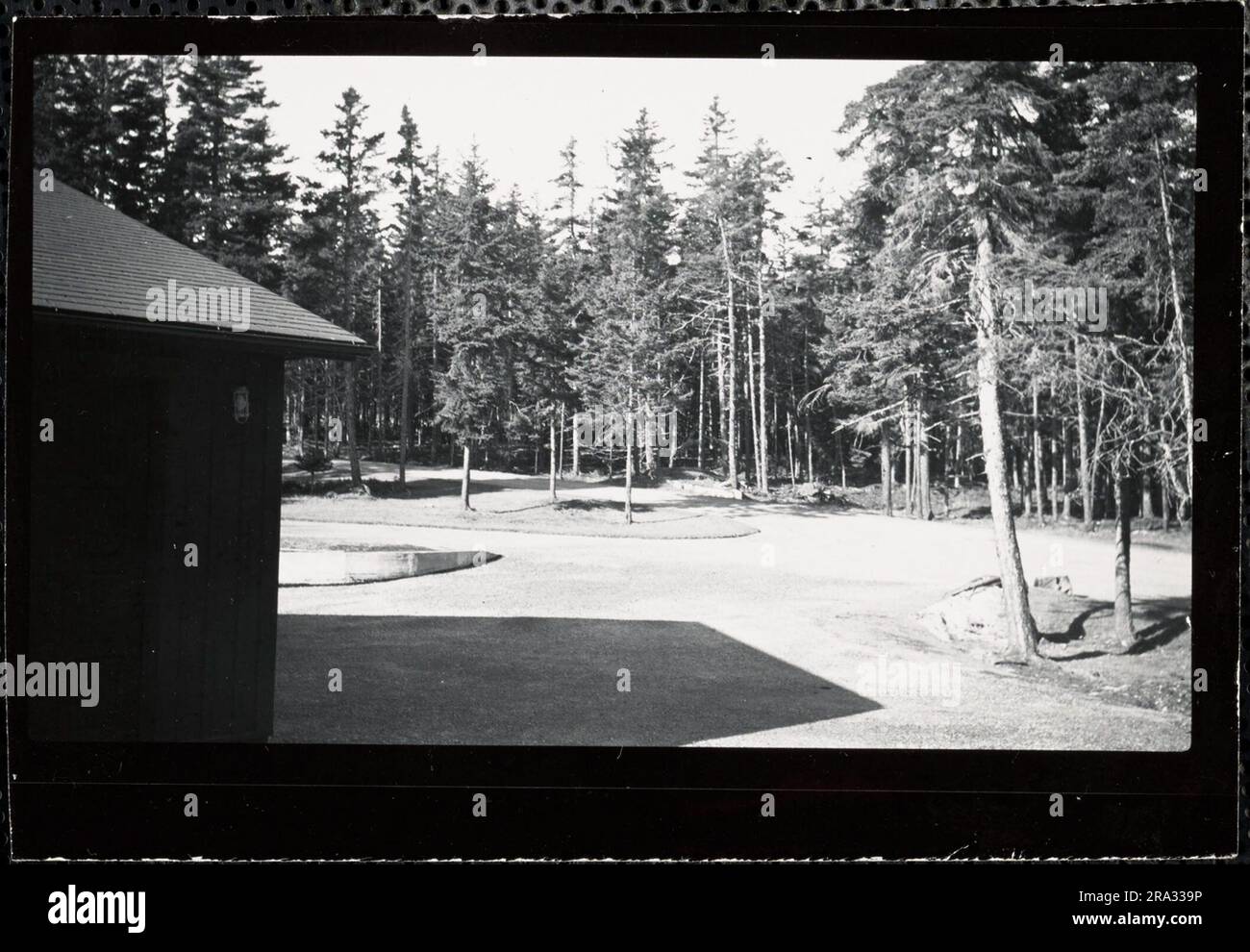 Building and Trees, Naval Security Group Activity, Winter Harbor, Maine ...