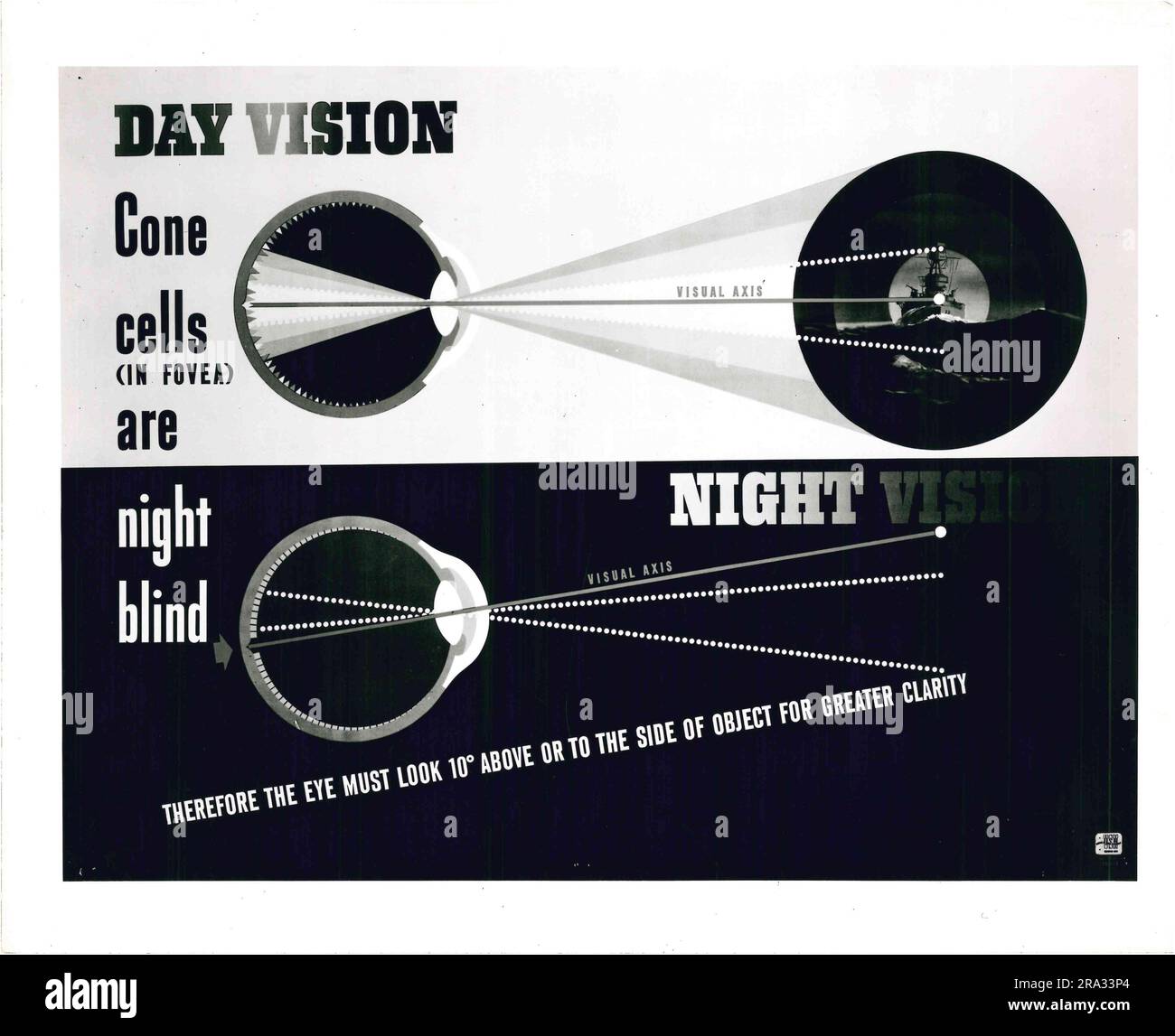 Eye light adaptation hi-res stock photography and images - Alamy