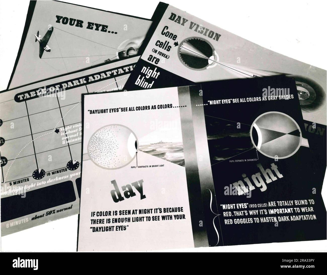 Photograph of Posters "Lookout, Night Adaptation Trainers Stock Photo ...