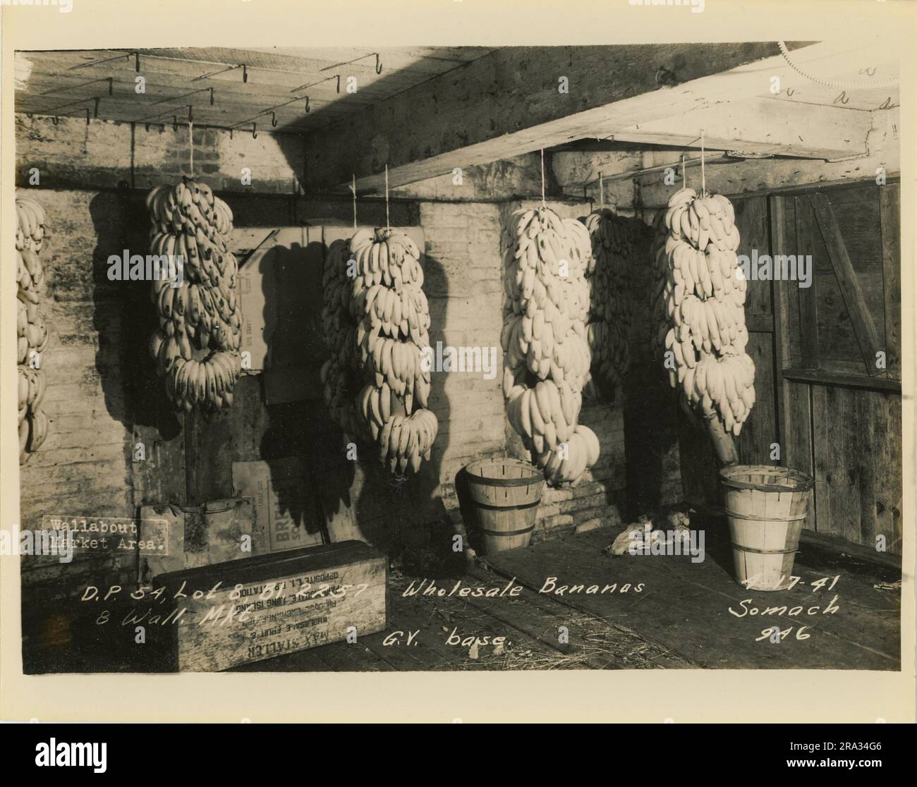 Photograph of interior lot 8, bl. 2257, Wholesale Bananas, 8 Wall. Mkt ...