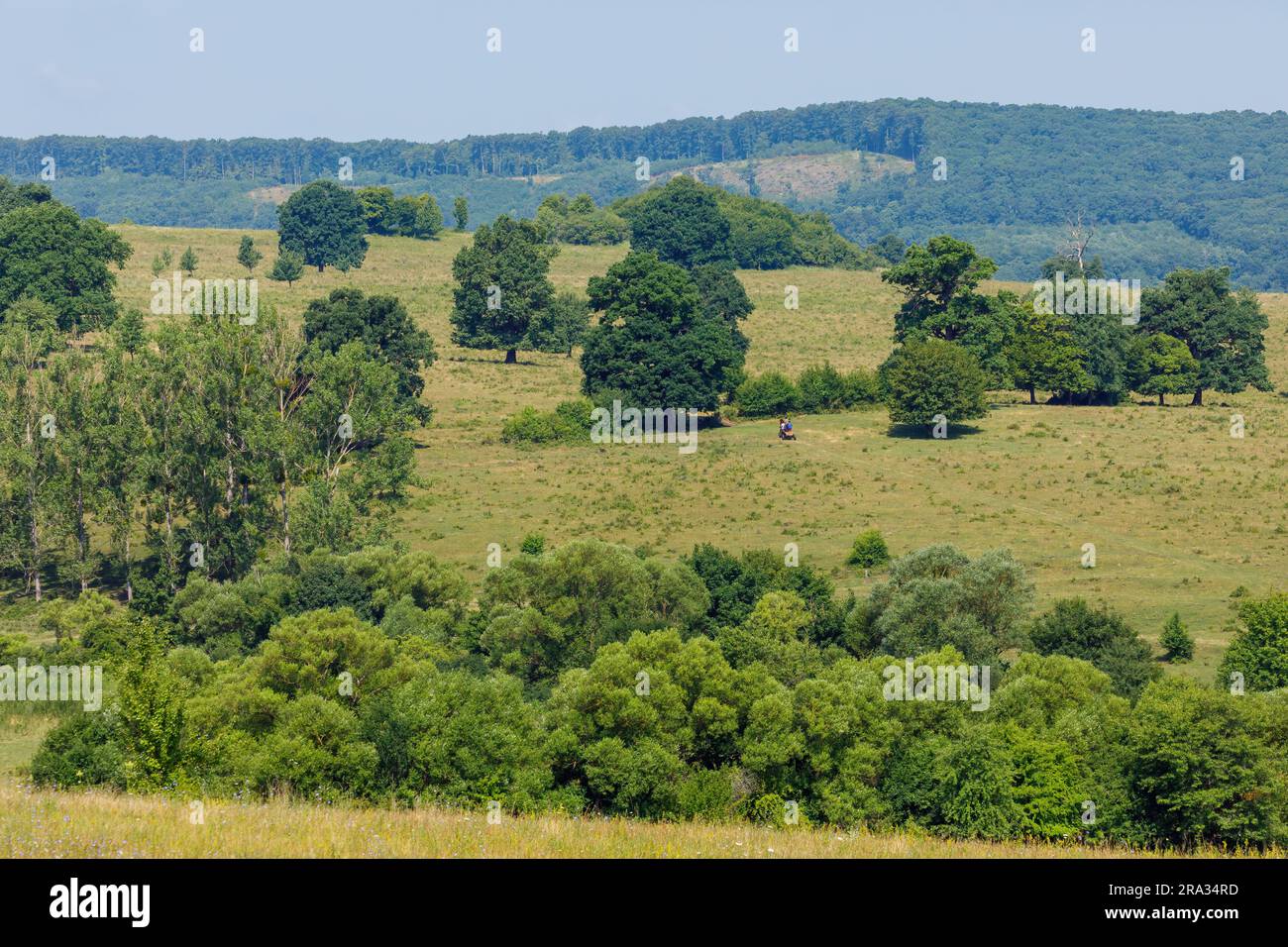 The Landscape at Viscri in Romania Stock Photo - Alamy