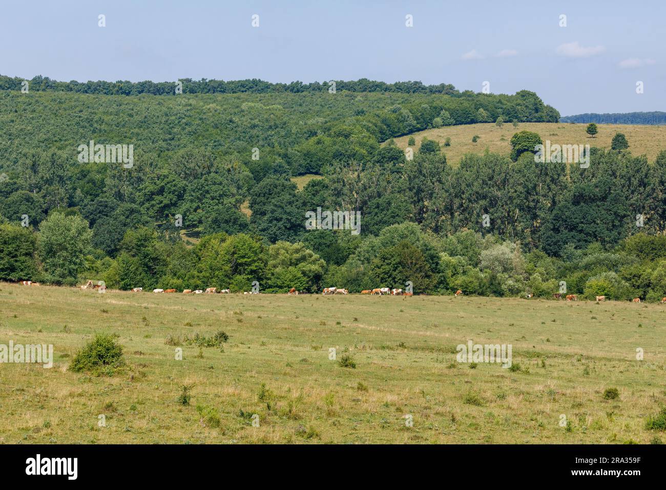 The Landscape at Viscri in Romania Stock Photo - Alamy