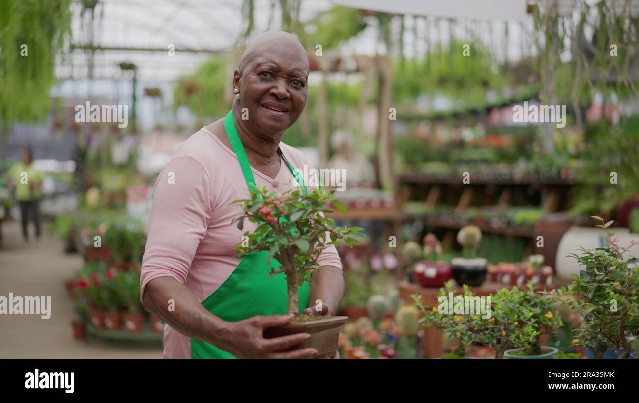 One black older woman staff holding small plant standing inside ...