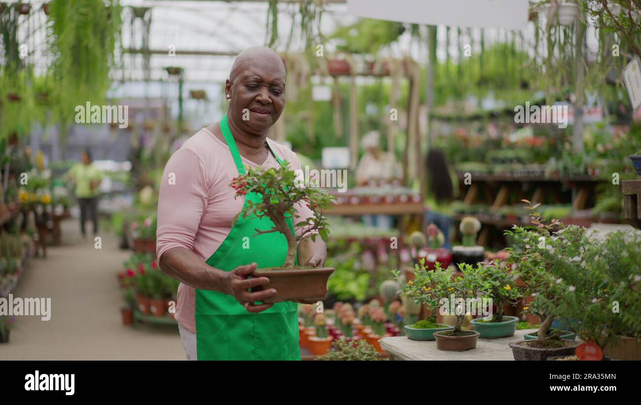One black older woman staff holding small plant standing inside ...