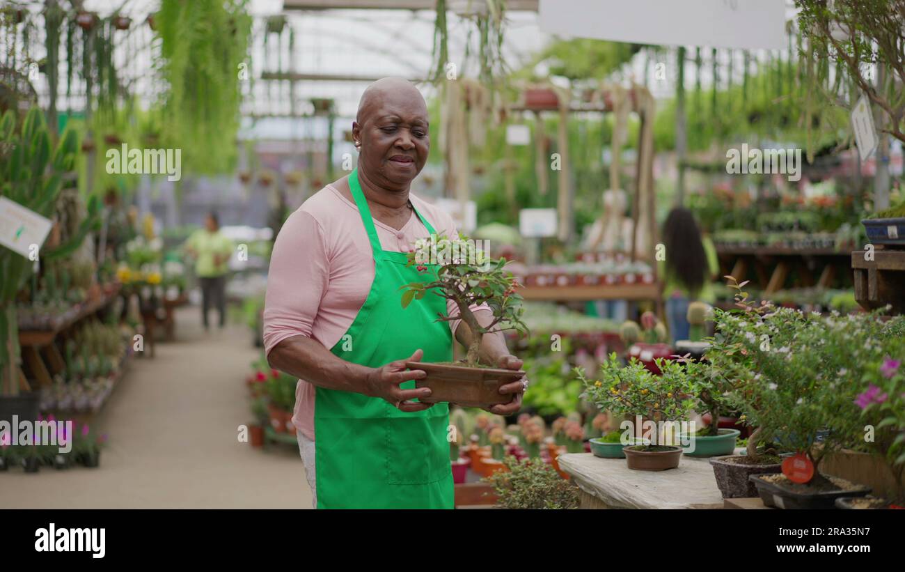 One black older woman staff holding small plant standing inside ...