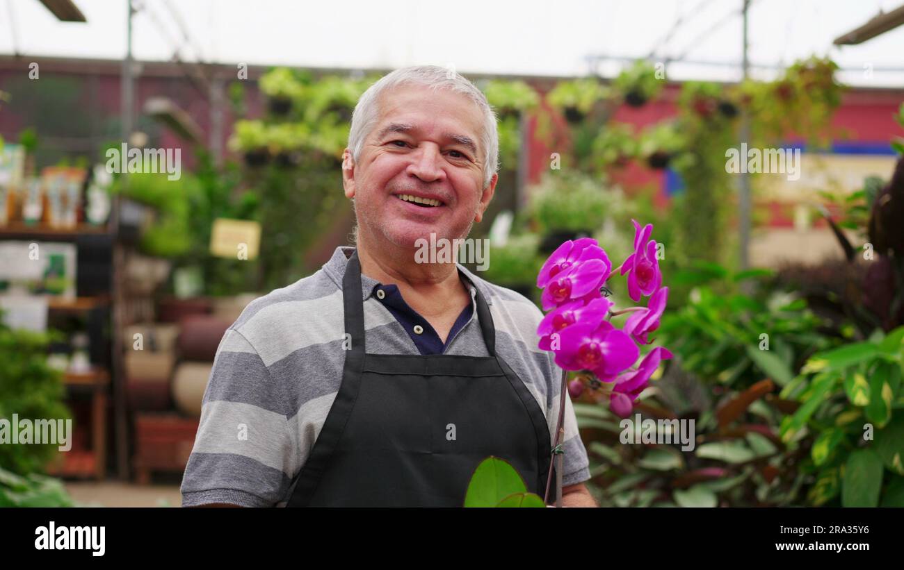 Portrait of older male Florist employee holding flower inside ...