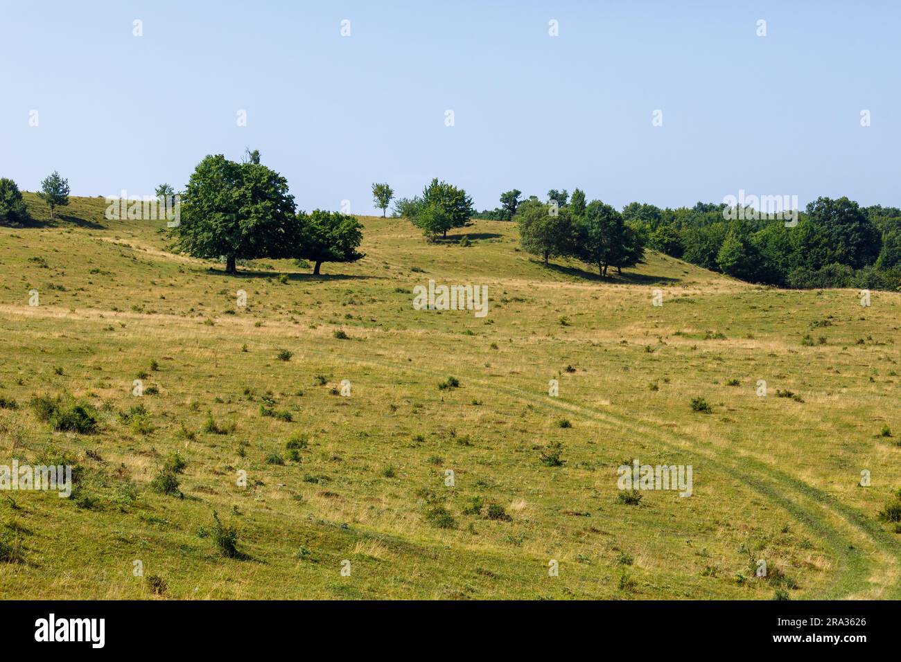 The Landscape at Viscri in Romania Stock Photo - Alamy