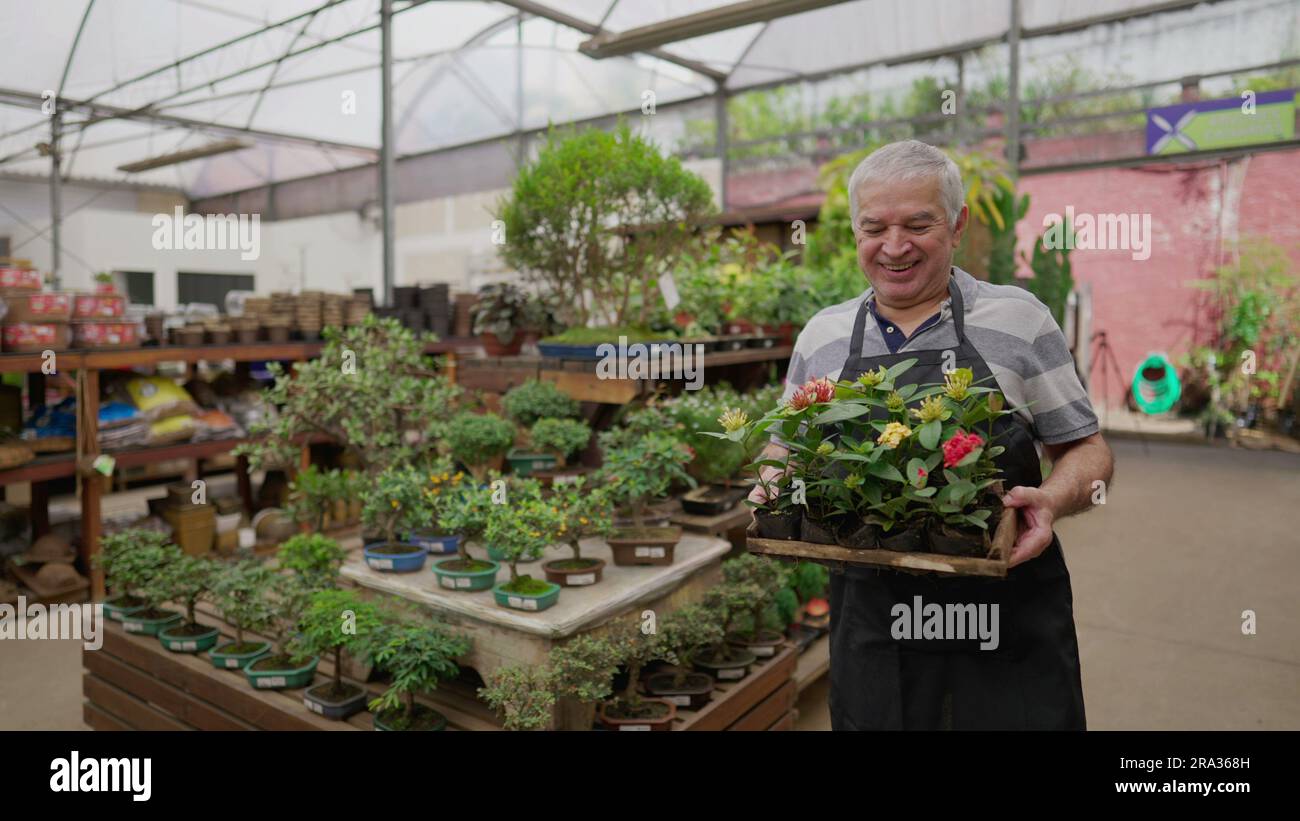 One Happy older male employee carrying Flowers inside Plant Store ...