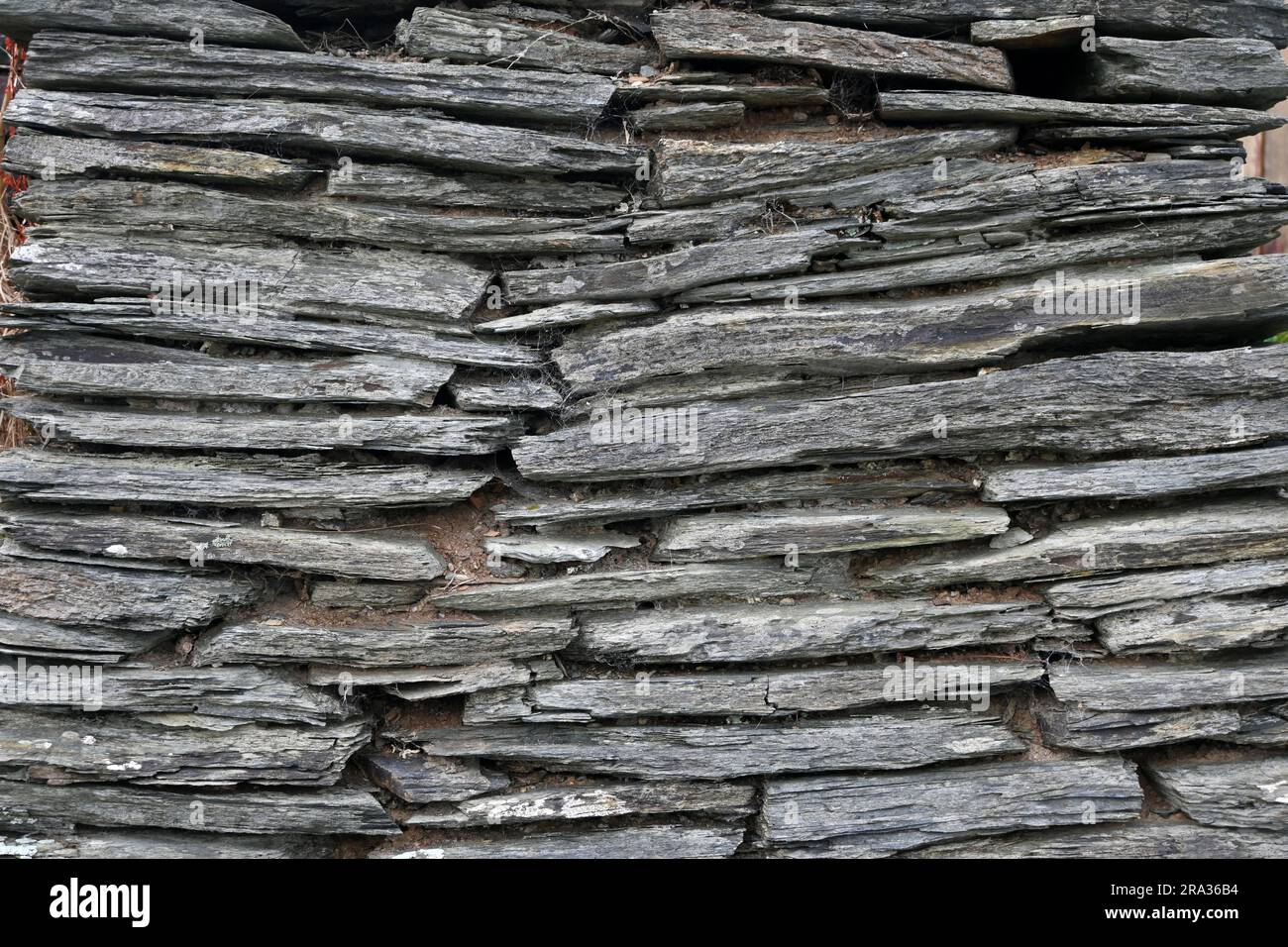 slate wall, cornwall Stock Photo - Alamy