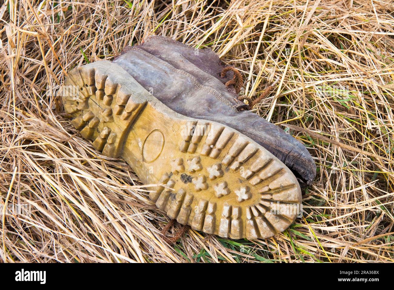 Old broken boot abandoned in a dry grass carpet - poverty concept Stock ...
