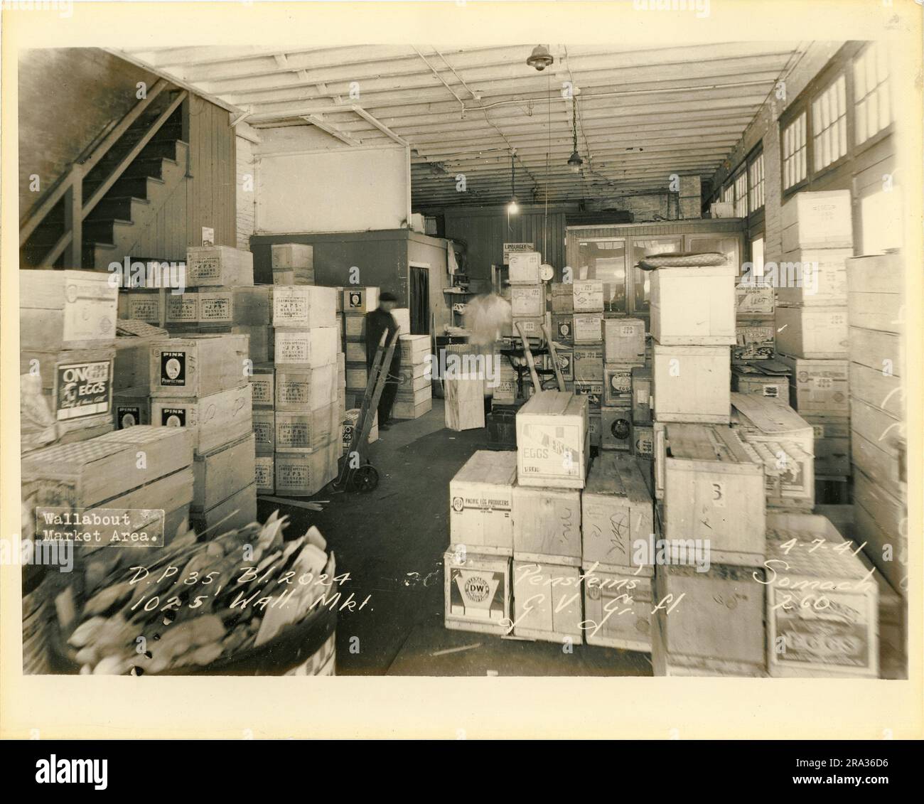 Photograph of interior of Bl. 2024, 1025 Wall. Mkt., Penstein's, ground ...