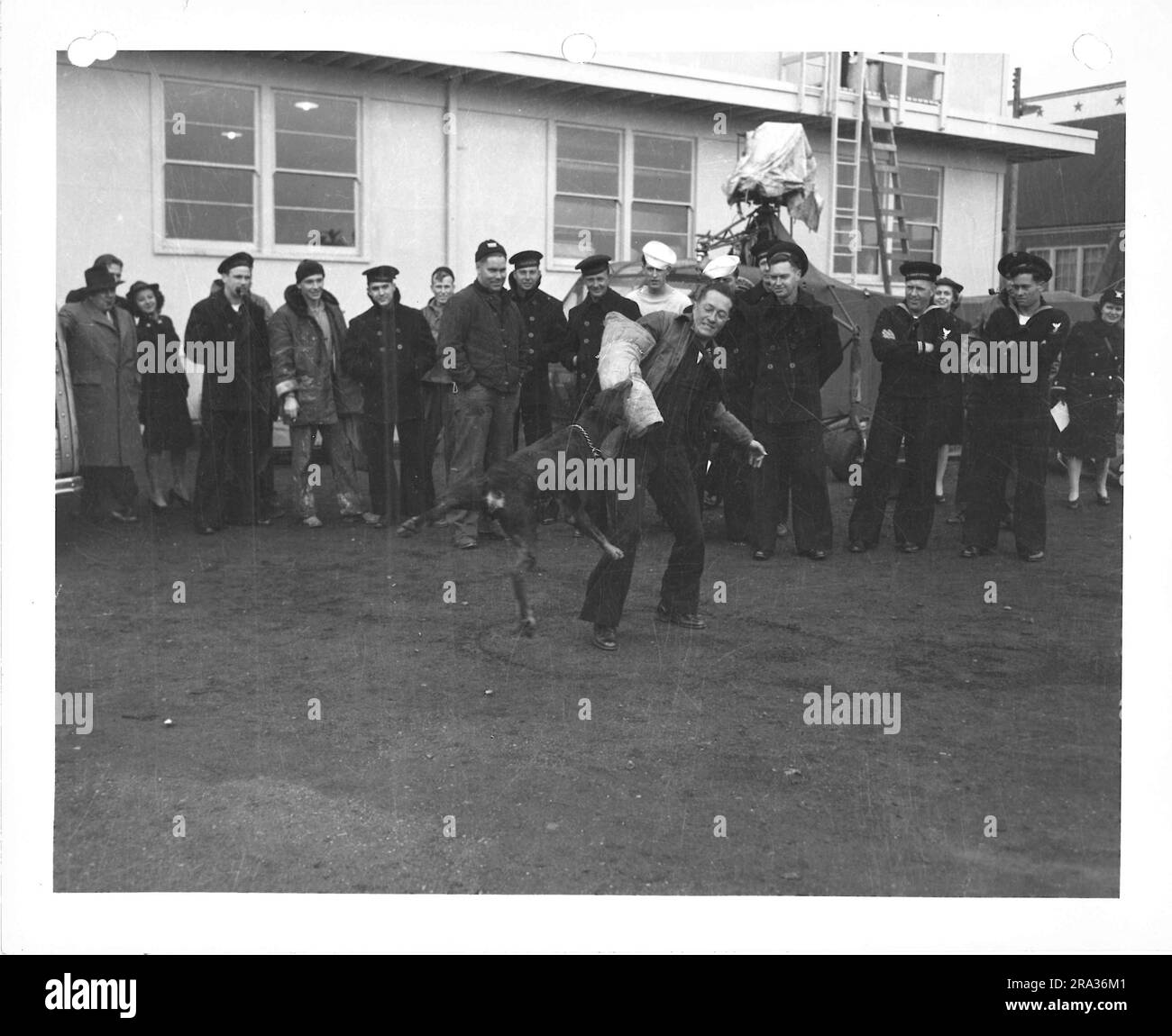 Photograph of Man Giving an Informal Demonstration of a Guard Dog ...