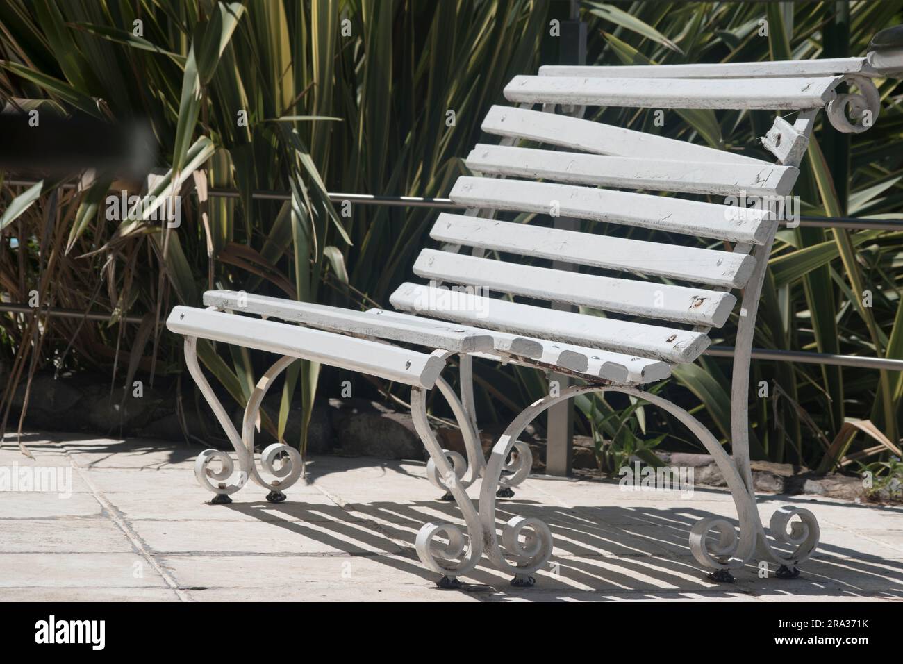 old square bench made of wood painted white Stock Photo - Alamy