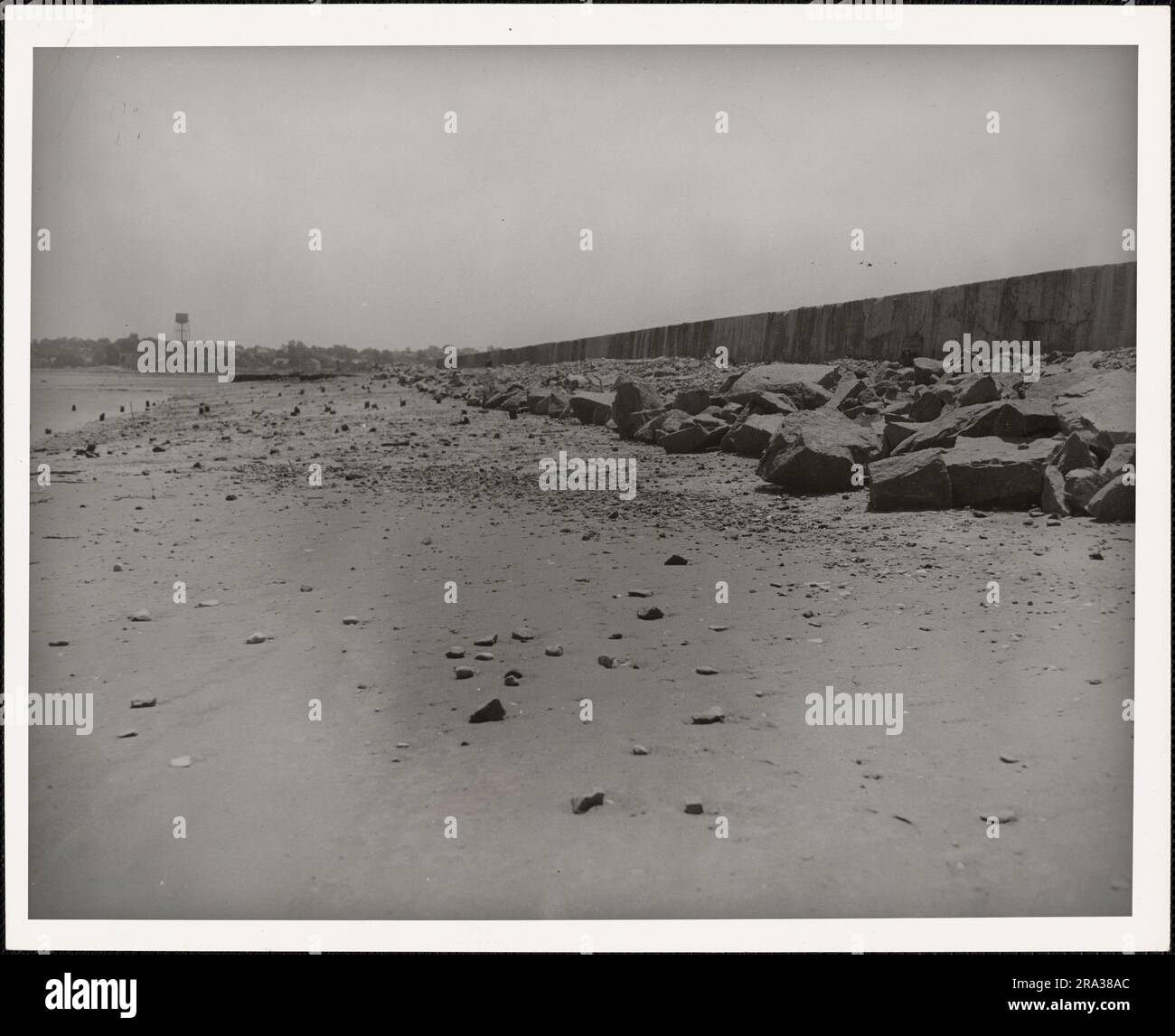 Squantum hi-res stock photography and images - Alamy