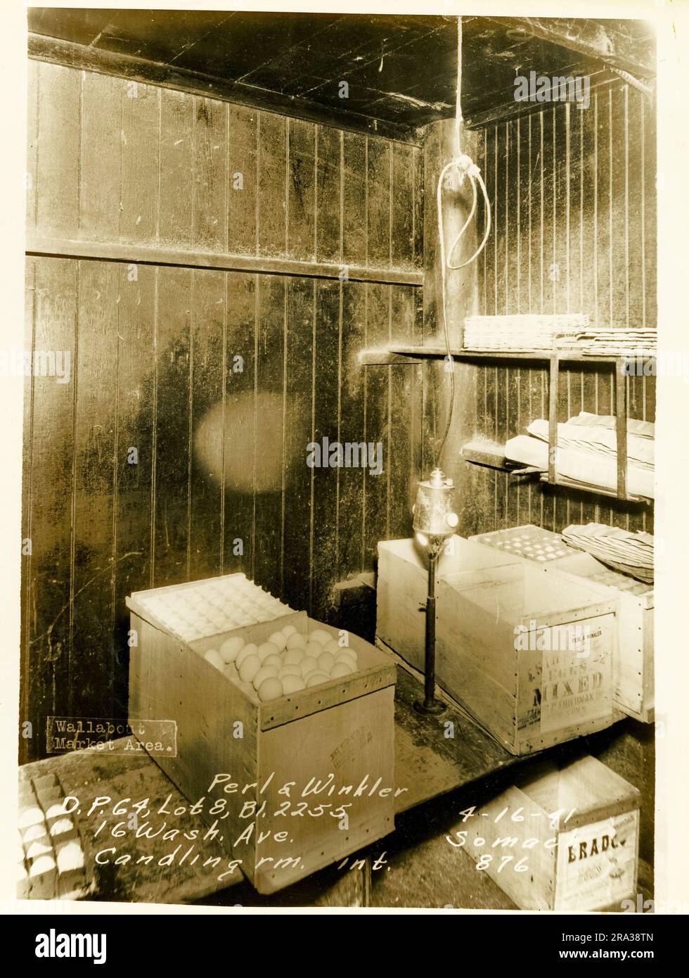 Candling eggs hi-res stock photography and images - Alamy