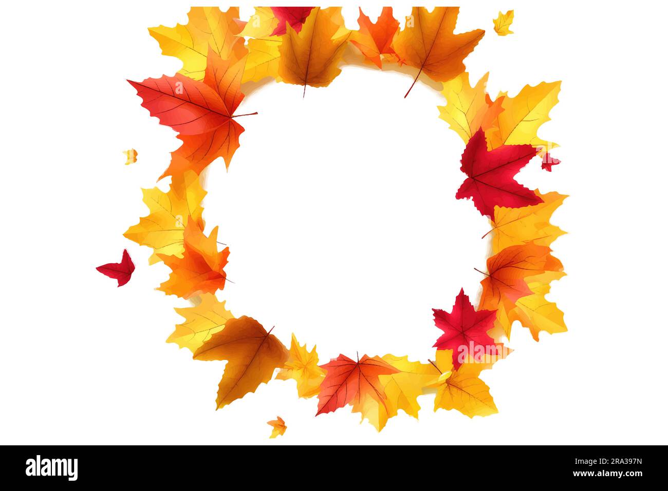 Autumn Leaves Border isolated on white background Stock Vector Image ...