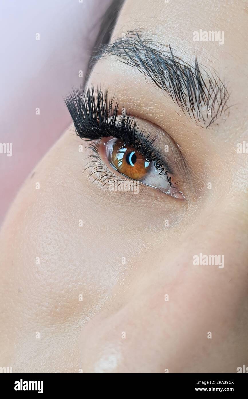 Close up of eye with eyelash extensions ,beauty salon treatment ,2d ...