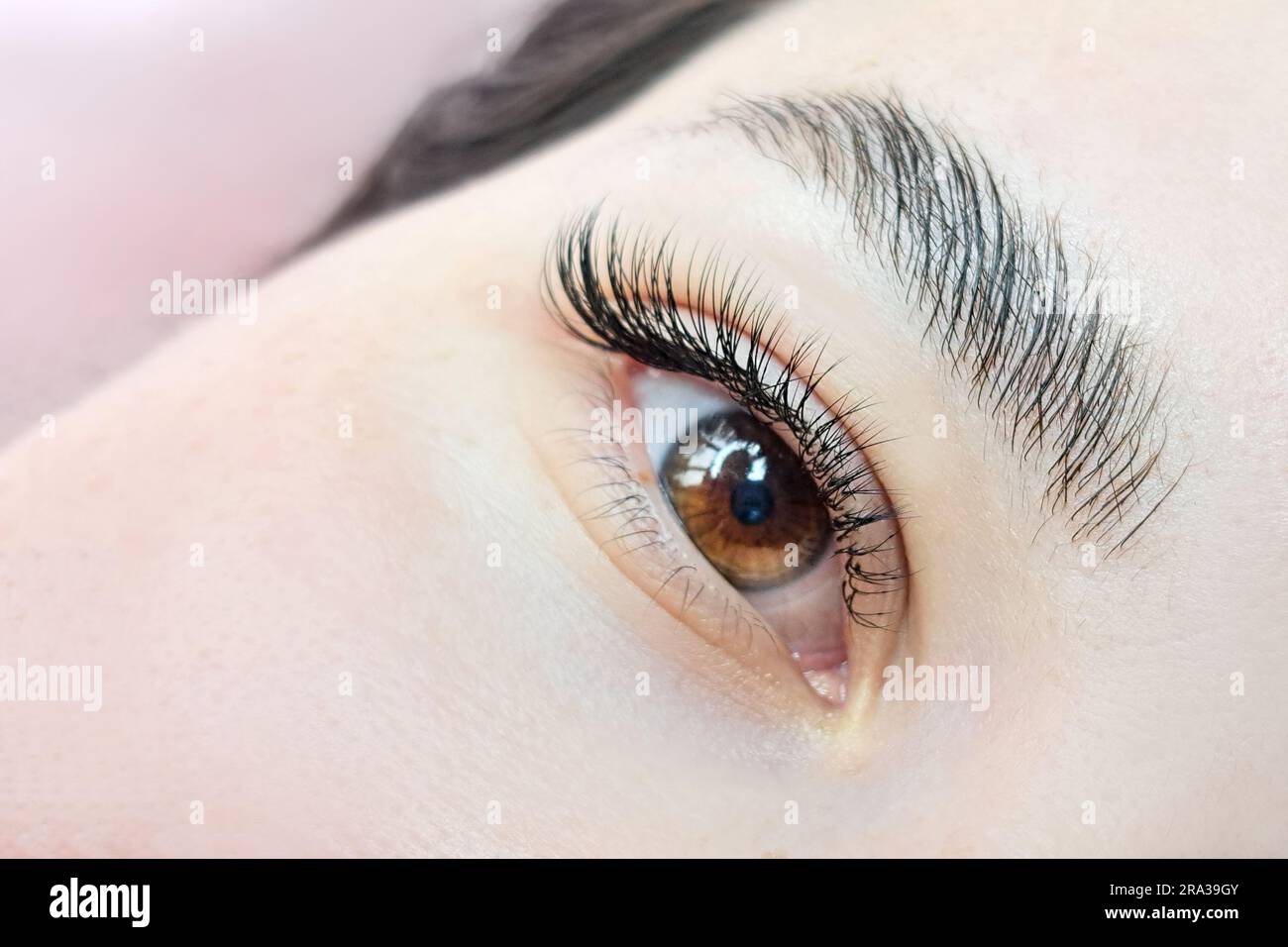 Close up of eye with eyelash extensions ,beauty salon treatment ,2d ...