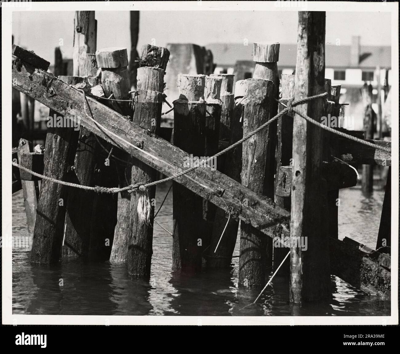 Piling After Blasting Concrete Buttresses, Squantum, Massachusetts ...
