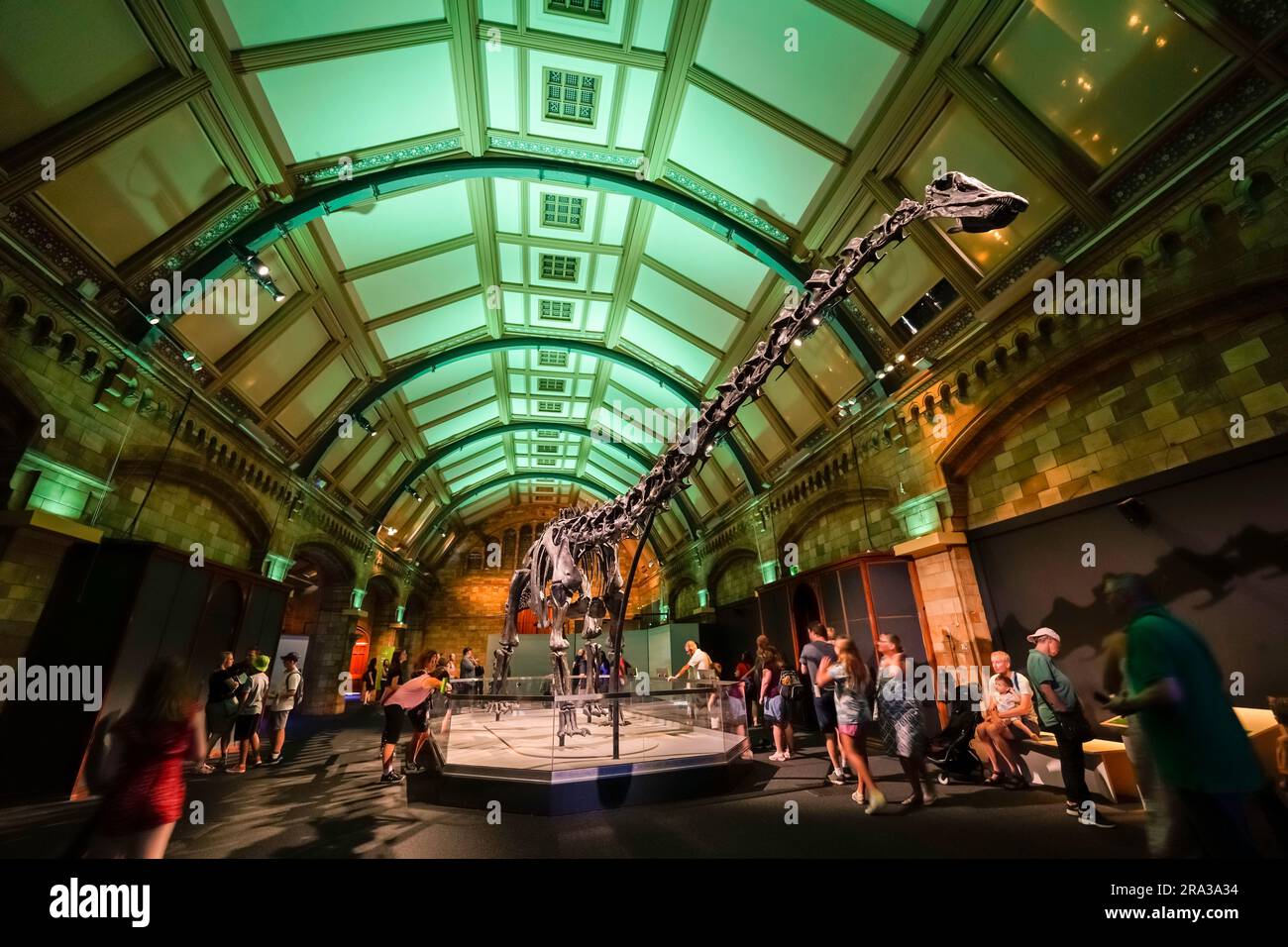Natural History Museum in London, museum interior. The famous and ...