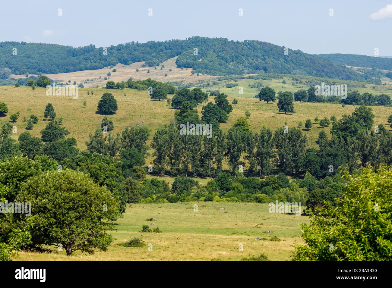 The Landscape at Viscri in Romania Stock Photo - Alamy