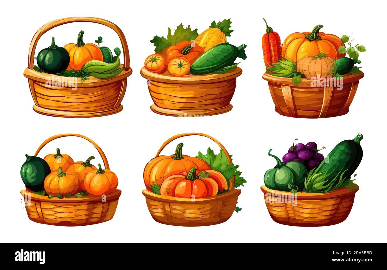 set vector illustration of autumn pumpkin harvest on a basket isolated ...