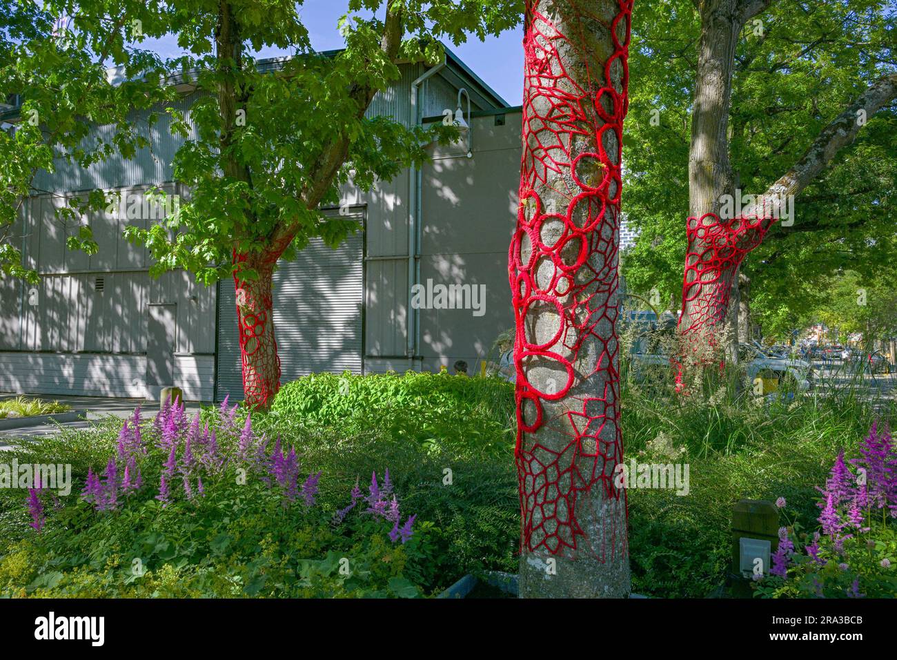 Hope and Healing yarn art installation, by Metis artist Tracey-Mae ...
