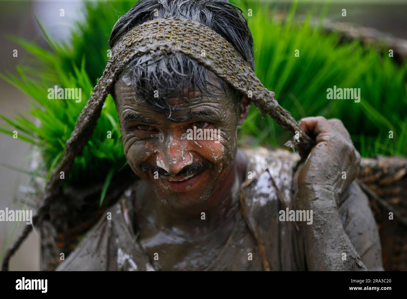 Nuwakot, Nepal. 30th June, 2023. A farmer carries rice saplings on his ...