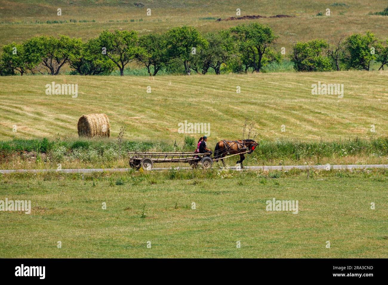 A horse carriage in the landscape of viscri Stock Photo - Alamy