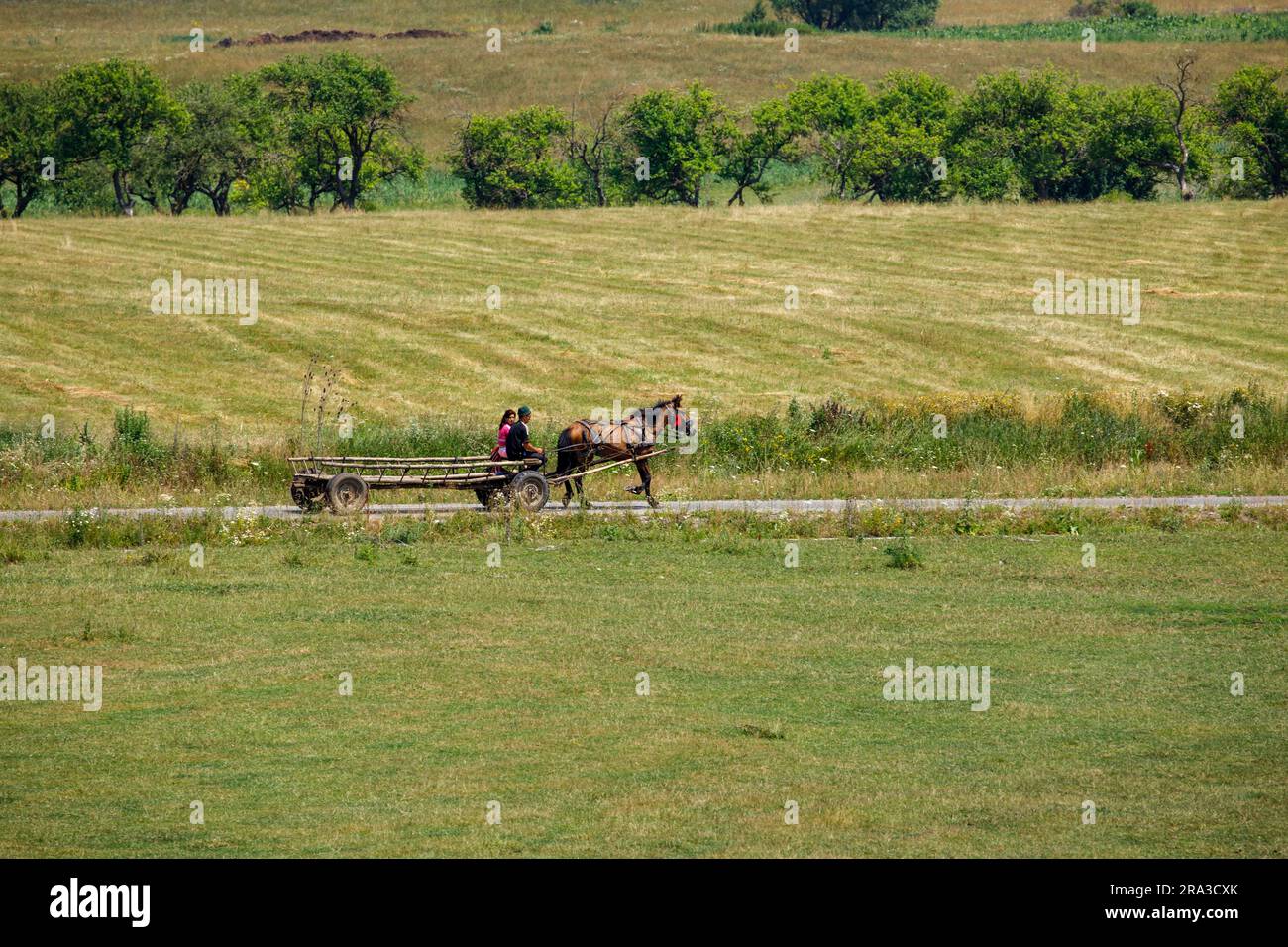 A horse carriage in the landscape of viscri Stock Photo - Alamy
