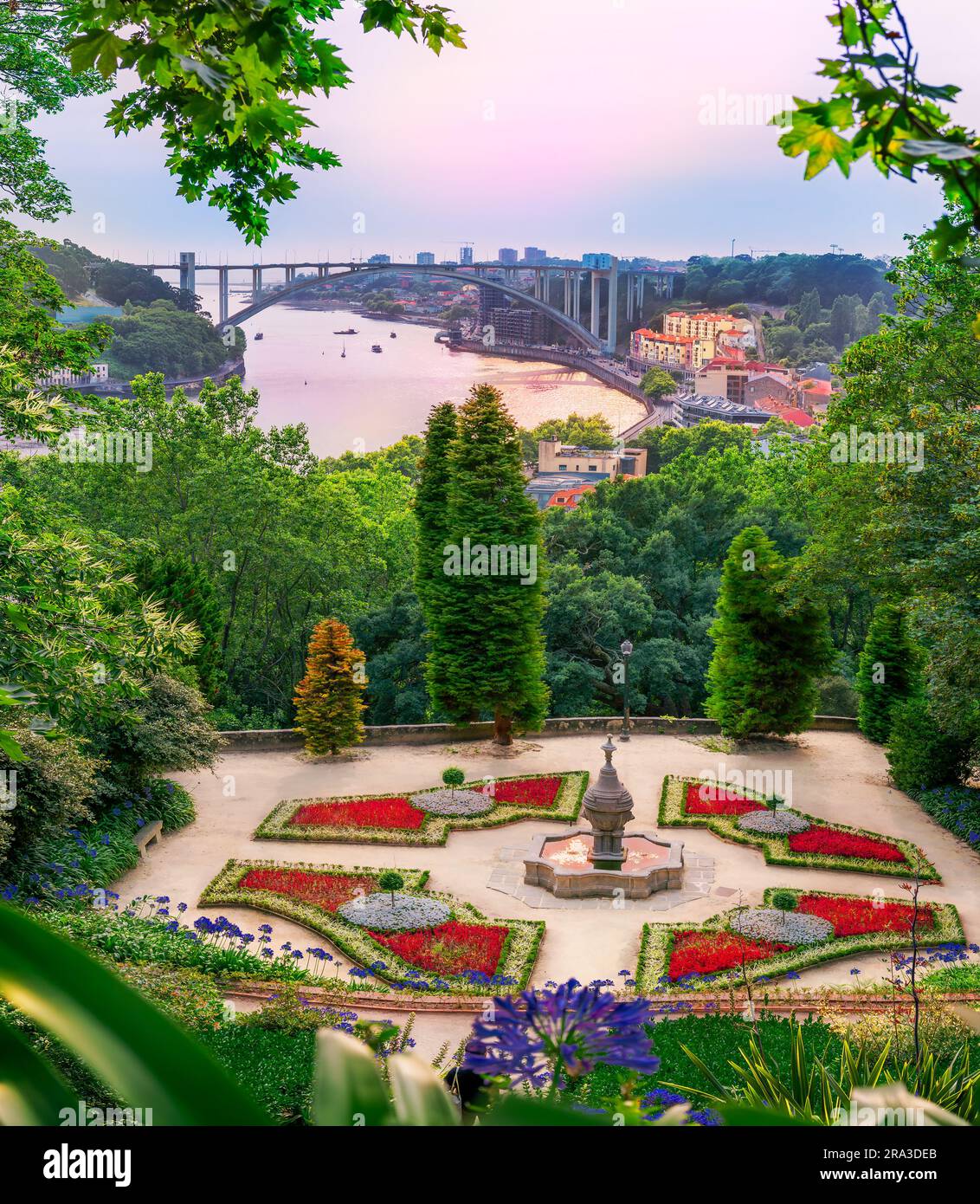 Porto bloom hi-res stock photography and images - Alamy