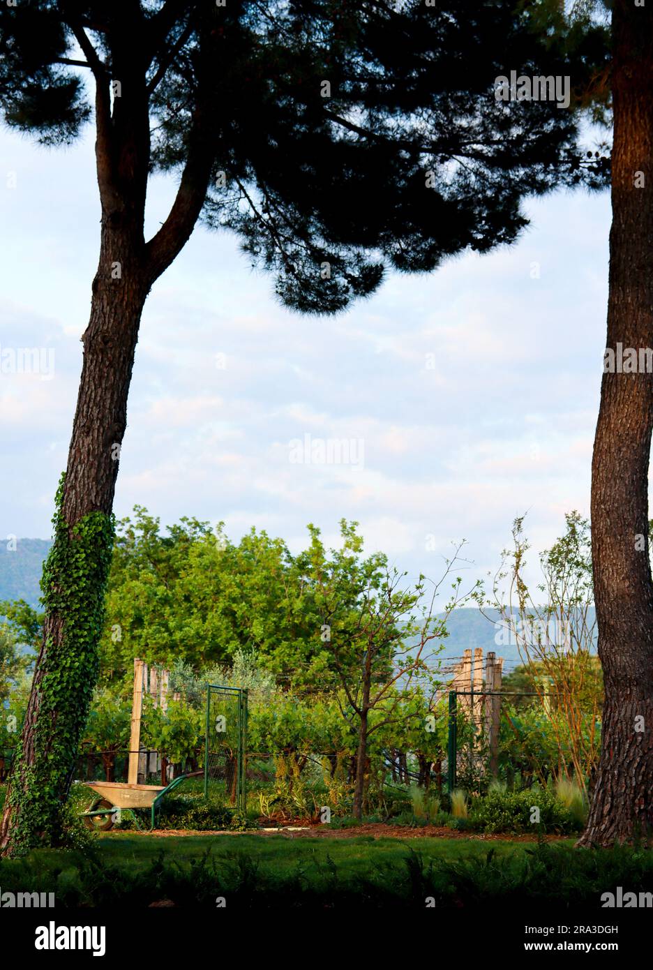 Beautiful and miraculous colors of green, landscape of a picturesque ...