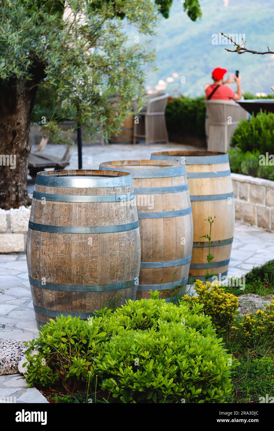 Wine casks at the winery. Wine barrels outside of wine cellar in the ...