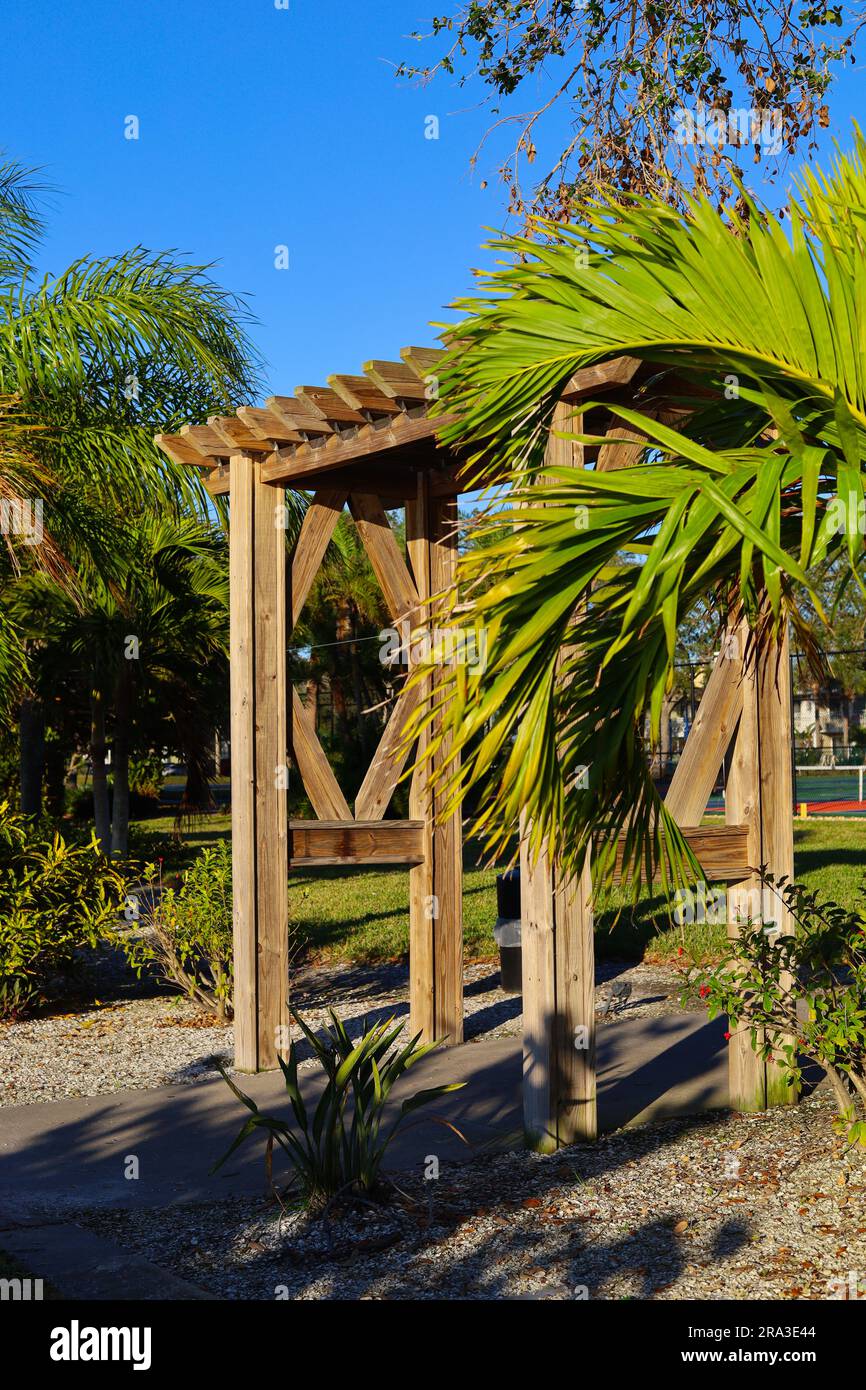 Beautiful sunny day and wooden paths for walking and running in Florida ...
