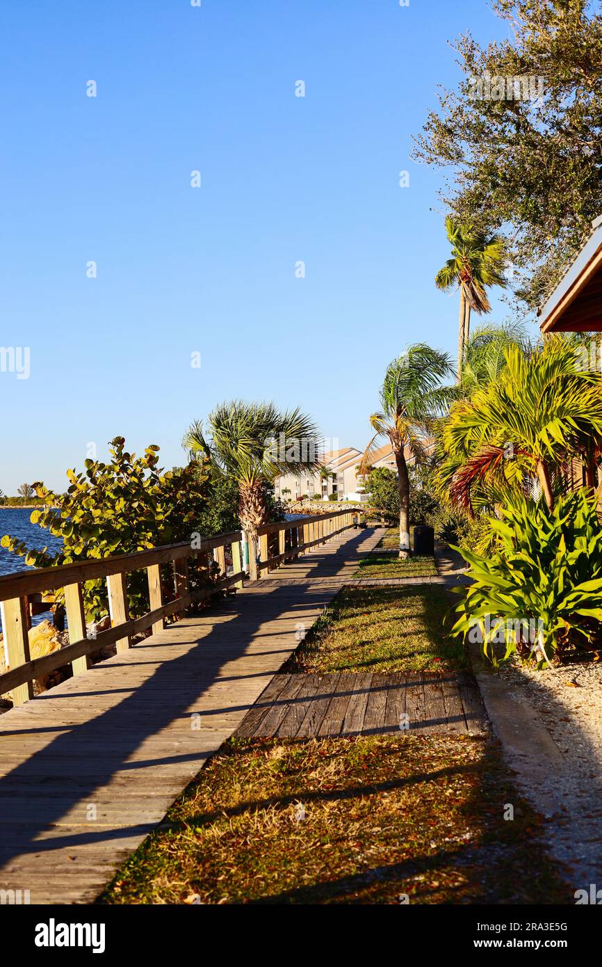 Beautiful sunny day and wooden paths for walking and running in Florida ...
