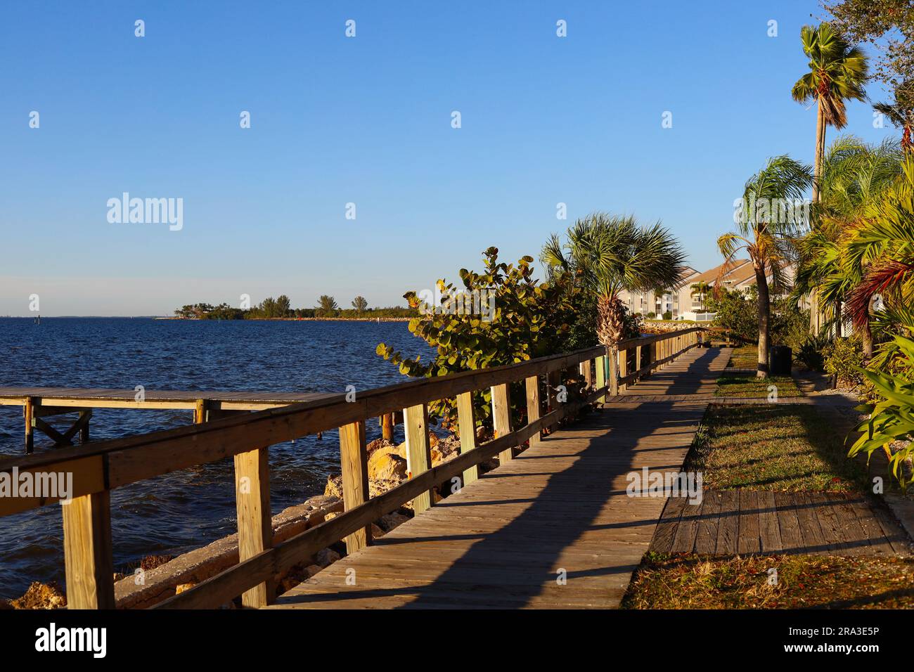 Beautiful sunny day and wooden paths for walking and running in Florida ...