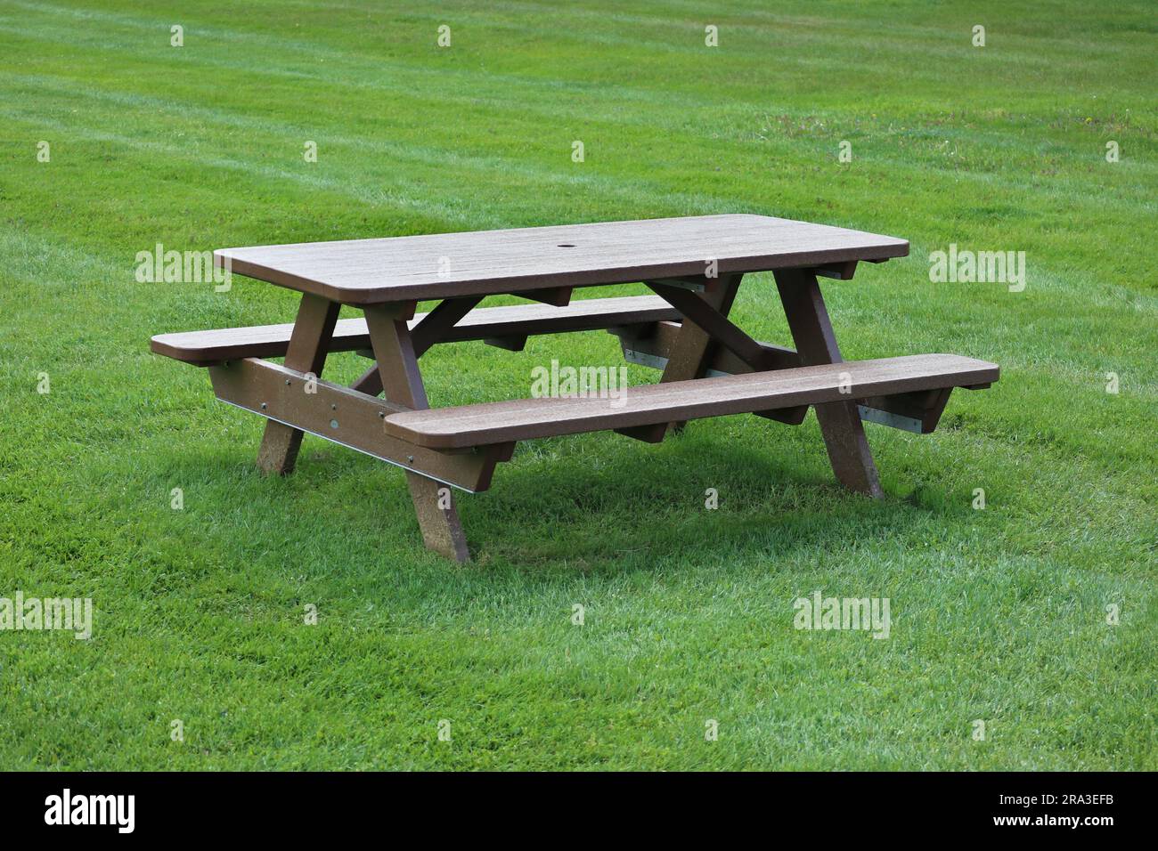 wood picnic table on green lawn (grass, sunshine, detail, closeup ...