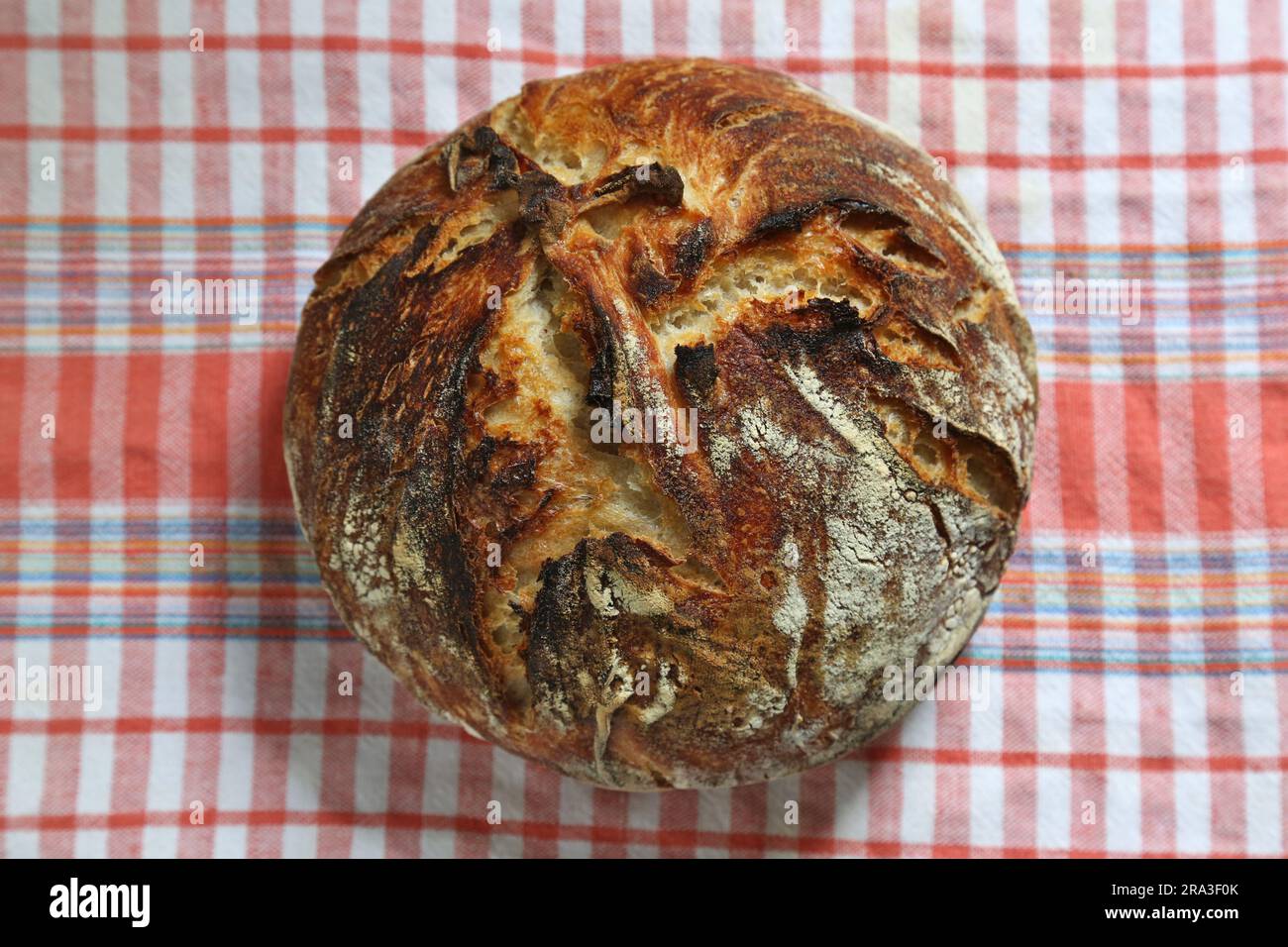 crusty fresh sourdough bread loaf with flour (towel, cutting board ...