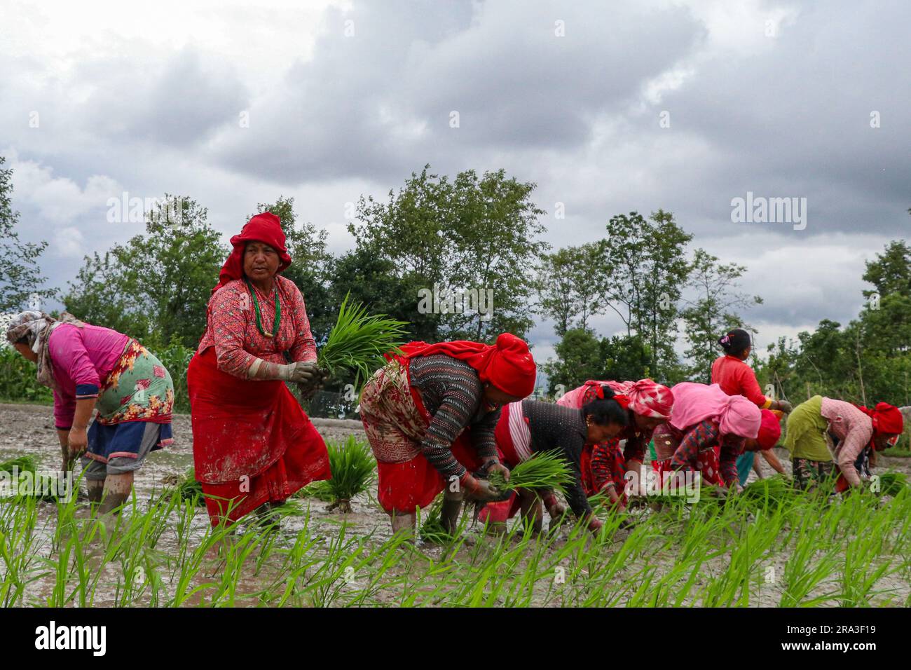 Kathmandu, Nepal. 30th June, 2023. On June 30, 2023, in Kathmandu ...