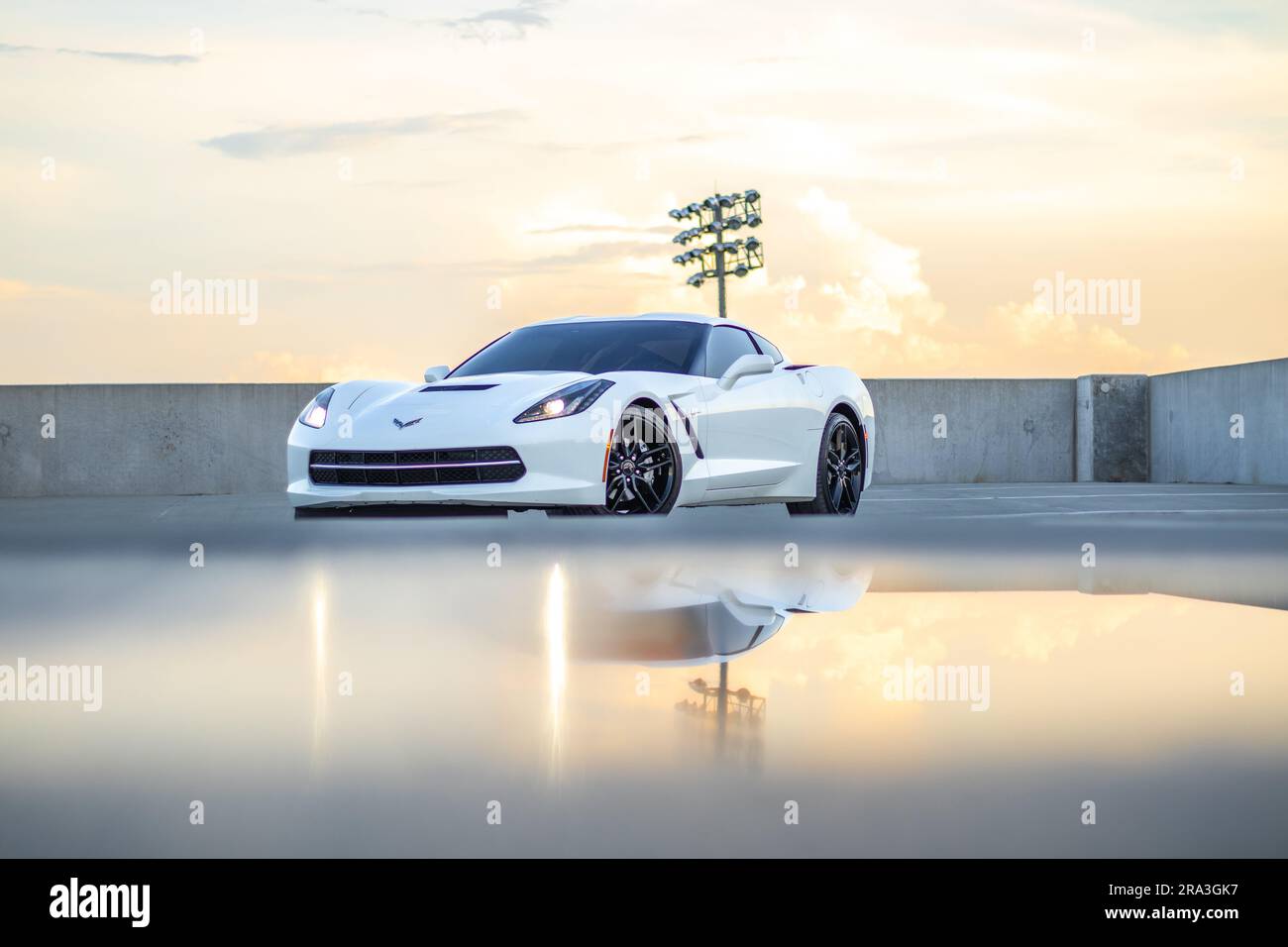 White Corvette Stingray Wallpaper