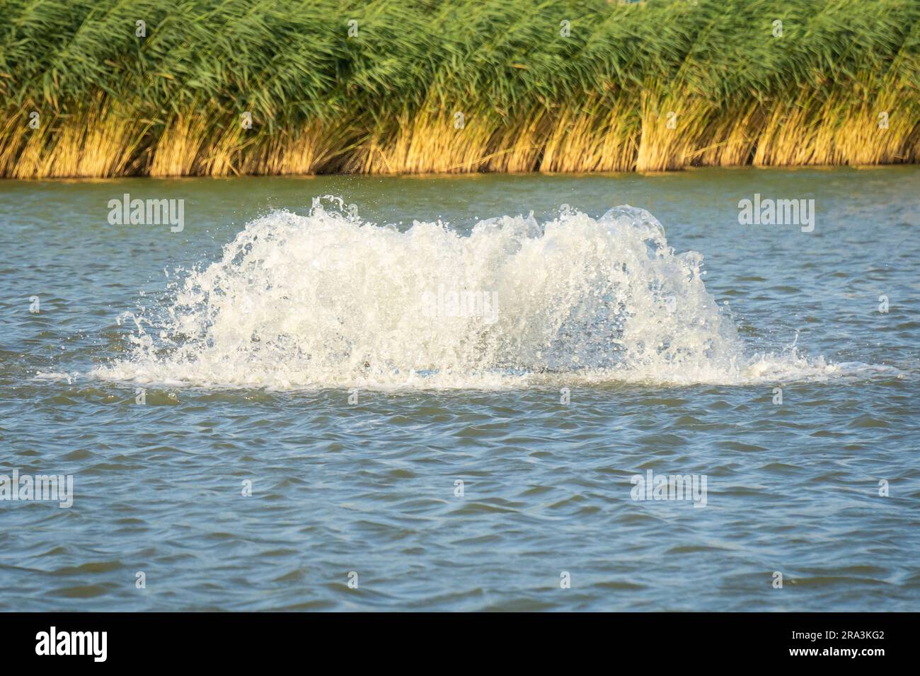 Water circulation hi-res stock photography and images - Alamy