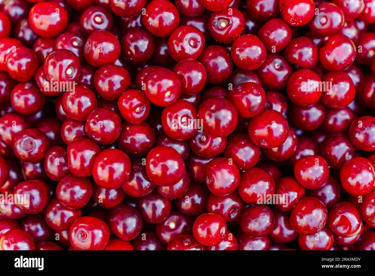 Cherries texture hi-res stock photography and images - Alamy