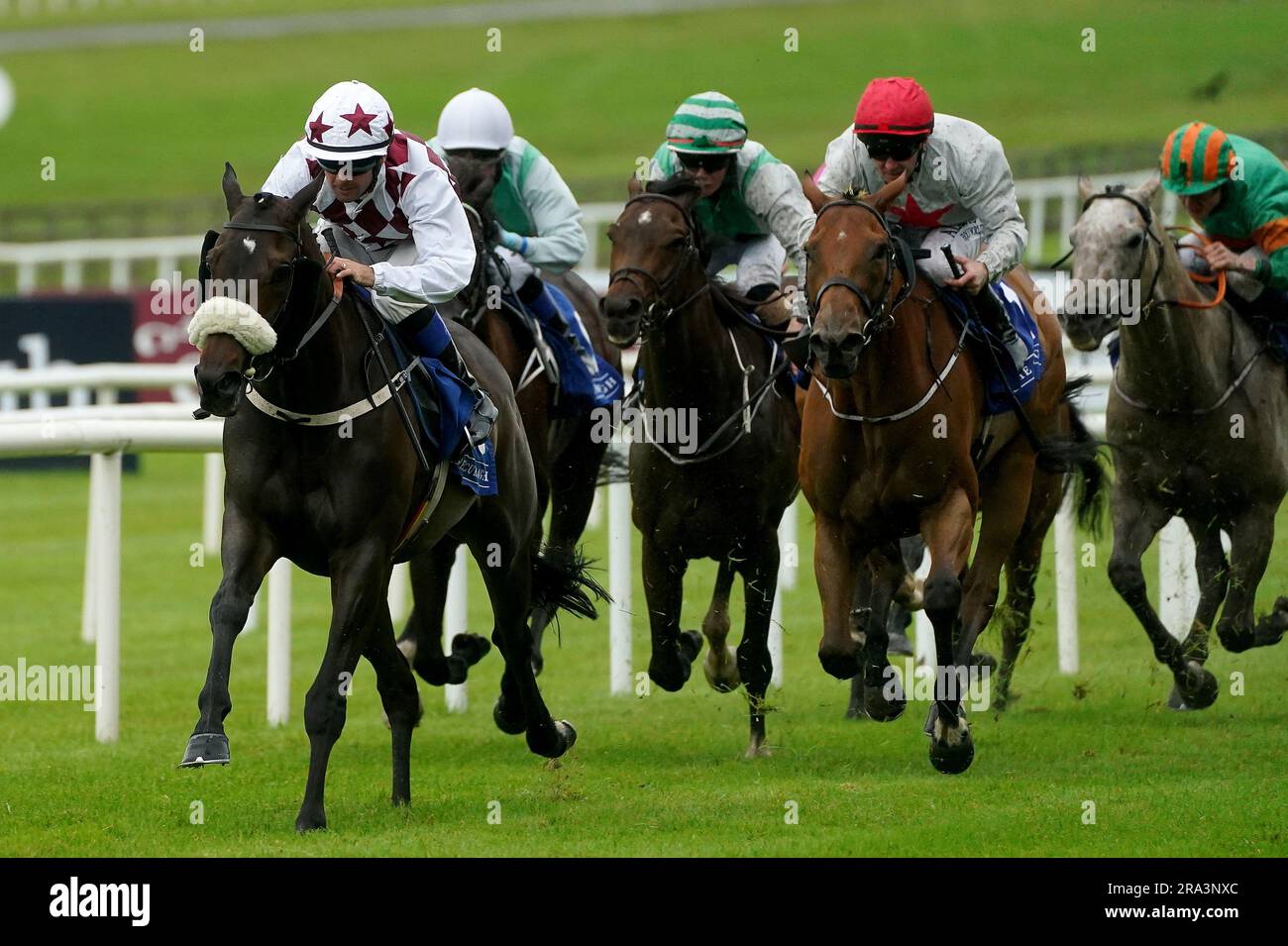 Kodiac horse hi-res stock photography and images - Alamy