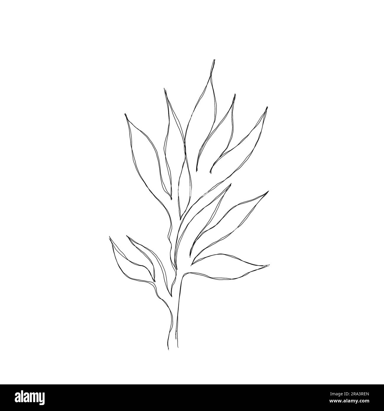 leaf pant line art. Minimalistic line drawing. leaf line art. Botanical ...