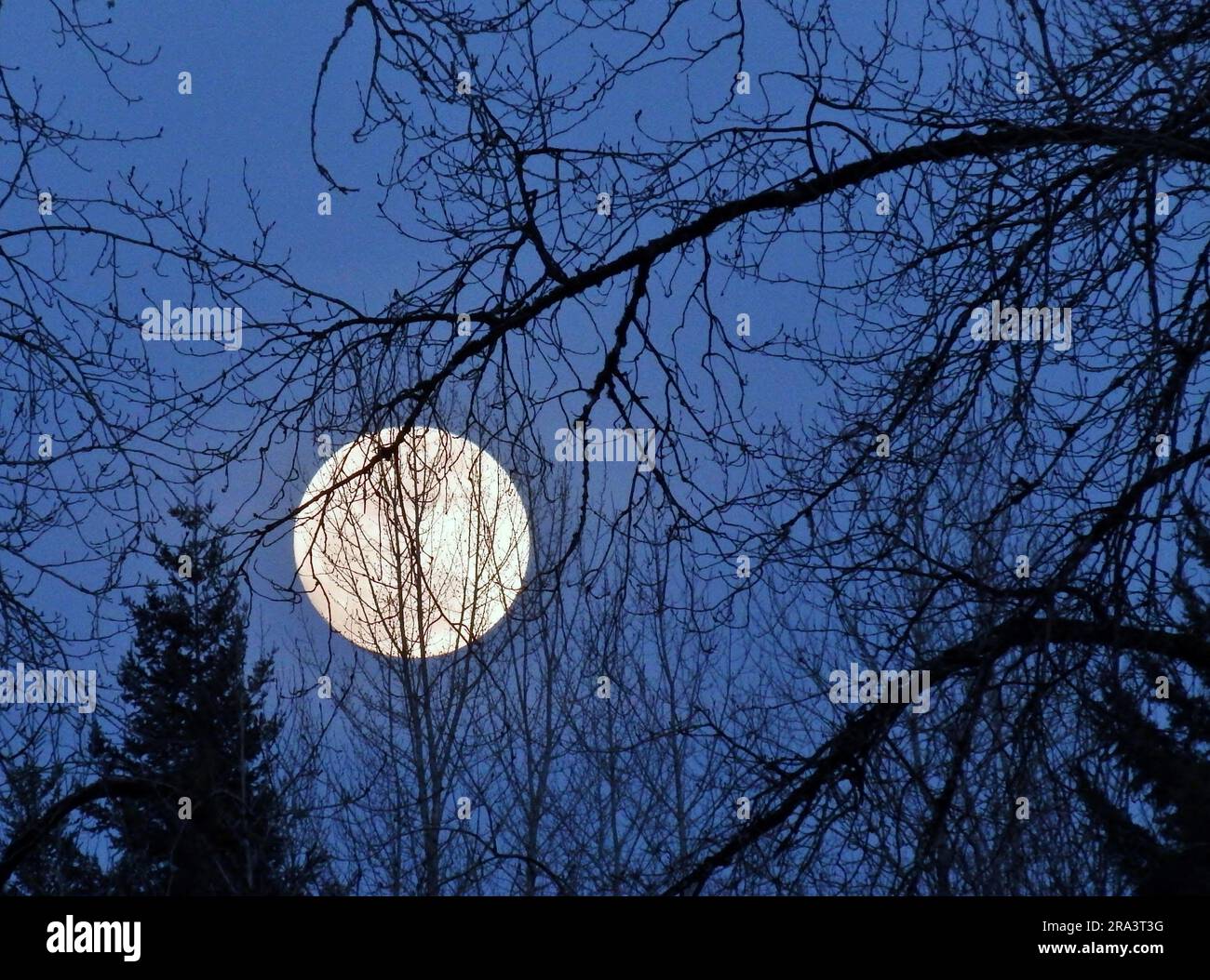 Moonrise oregon hi-res stock photography and images - Alamy